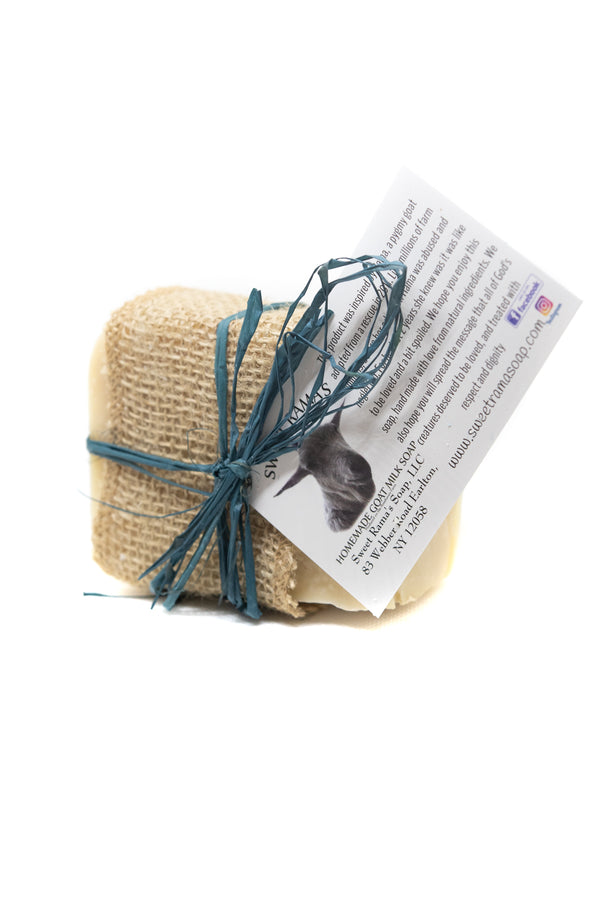 Cactus & Sea Salt Soap Bar – Sweet Rama's Soap